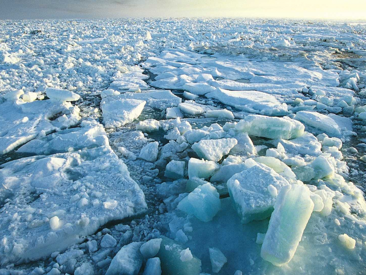 Projects - Earthwave